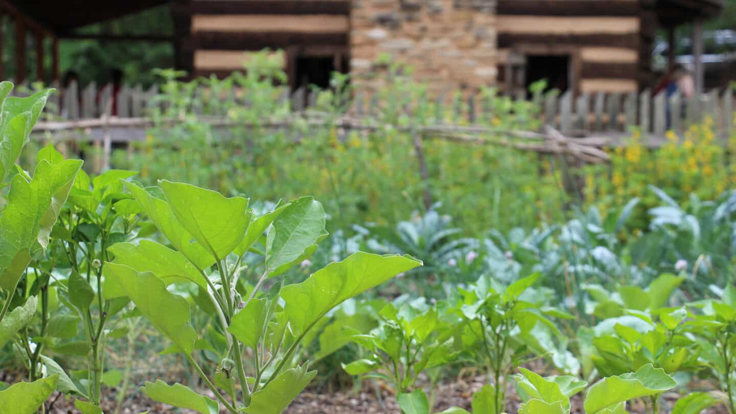 Sustainability | Atlanta History Center