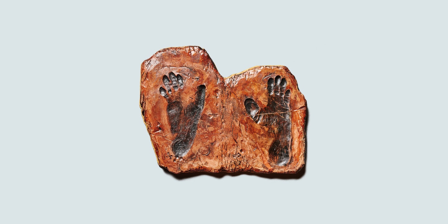 Willie B. | Atlanta in 50 Objects | Exhibitions | Atlanta History Center