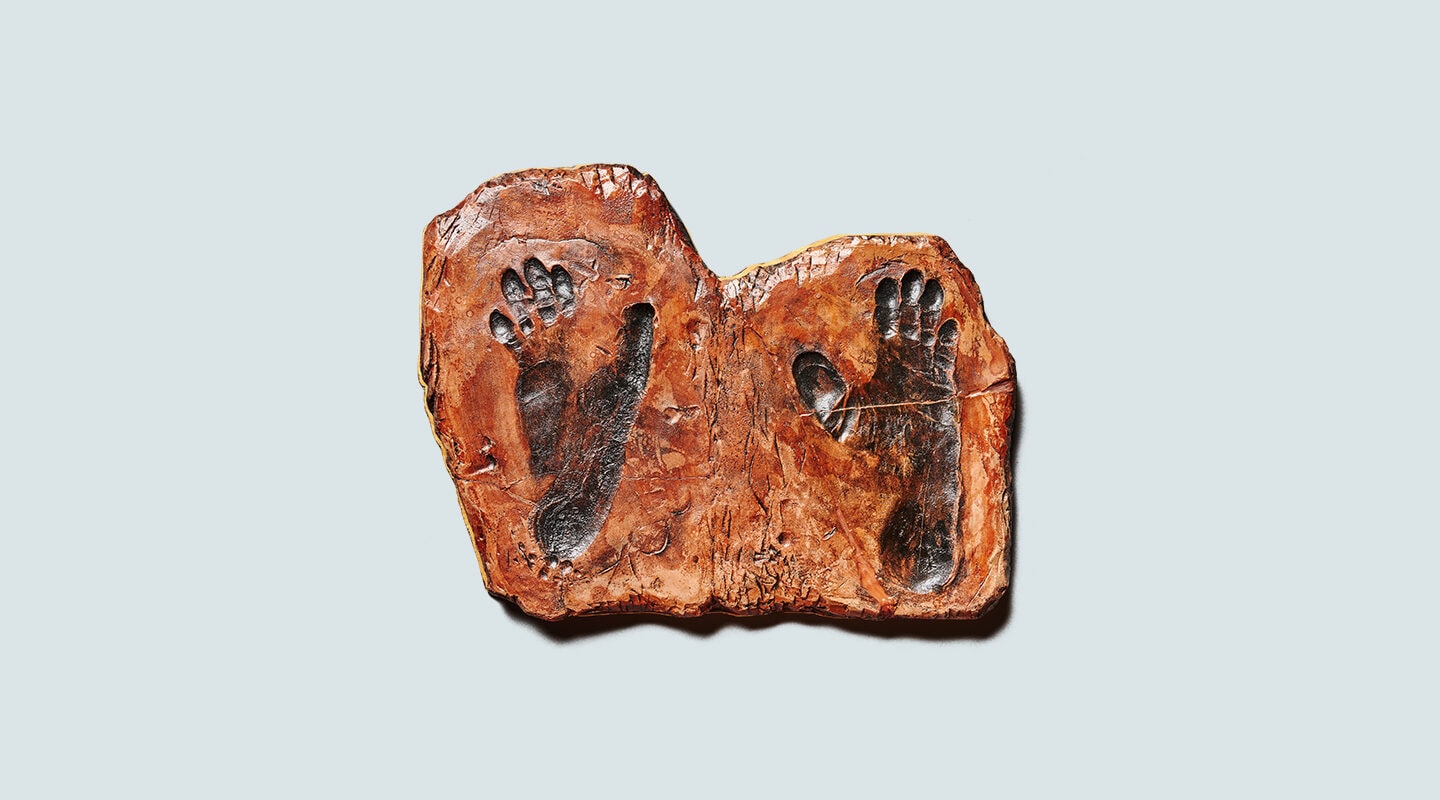 Willie B. | Atlanta in 50 Objects | Exhibitions | Atlanta History Center