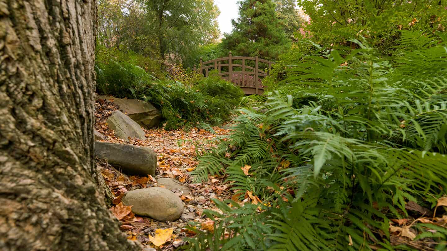 Goizueta Gardens | Atlanta History Center
