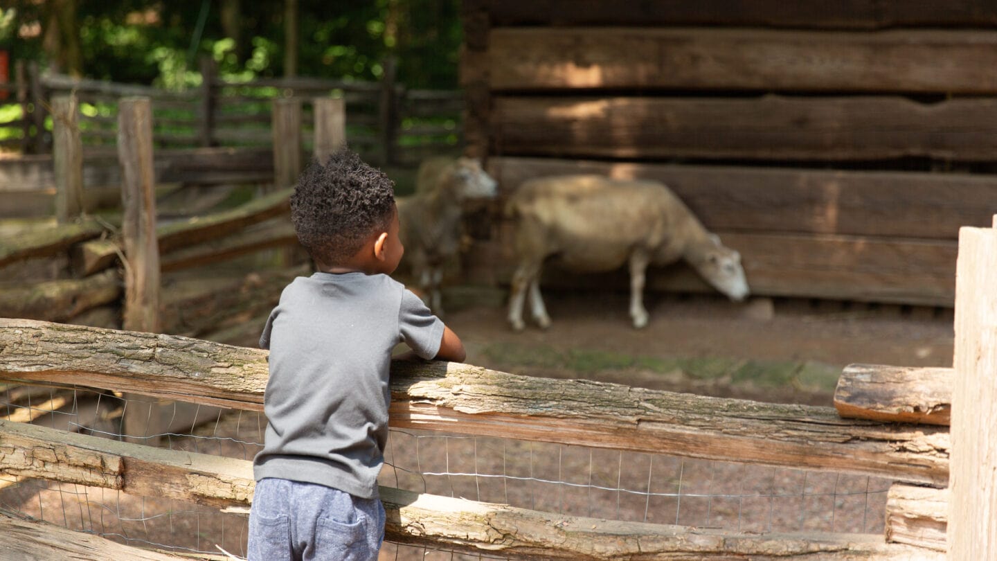 Juneteenth | Atlanta History Center