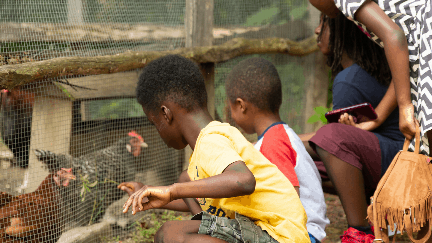 Georgia Farm Life | Atlanta History Center