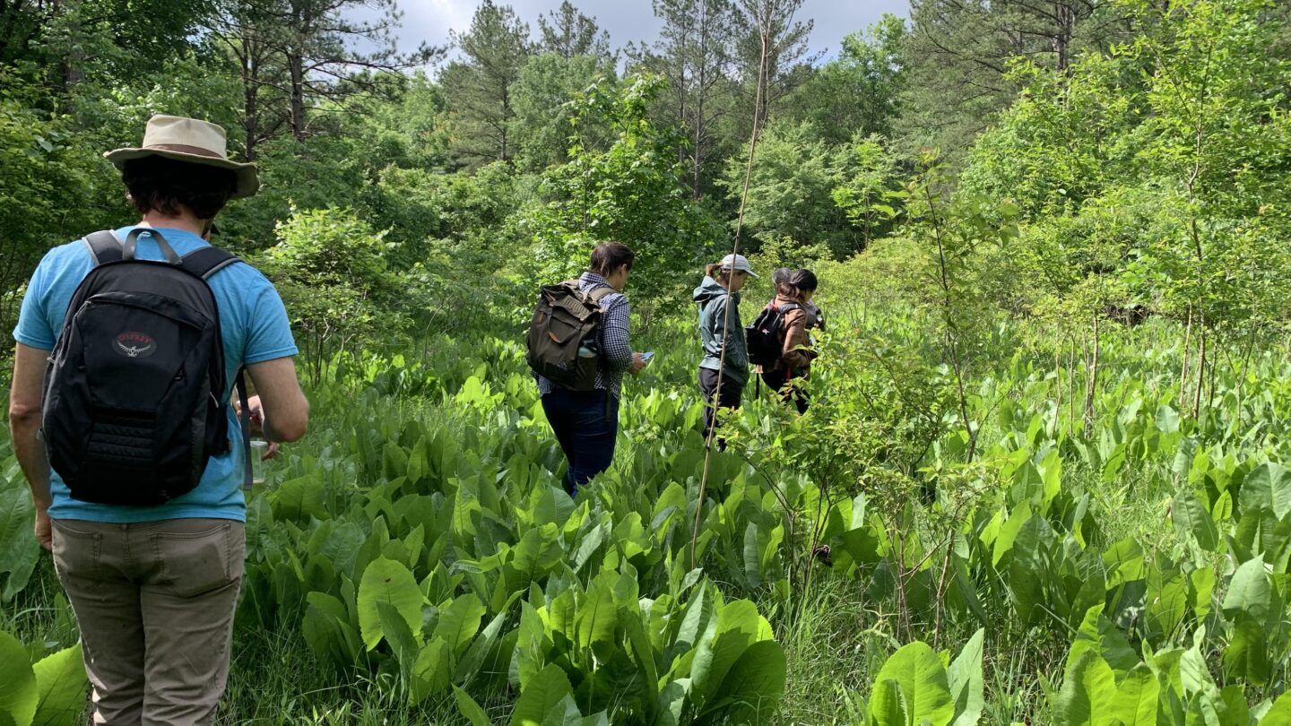 Out of the Garden, Into the Field: Coosa Valley Prairies, Arabia ...